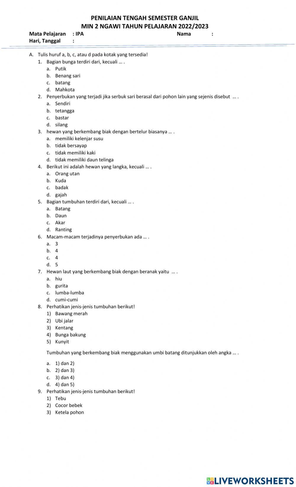 Pts ipa smt 1 2022 worksheet | Live Worksheets