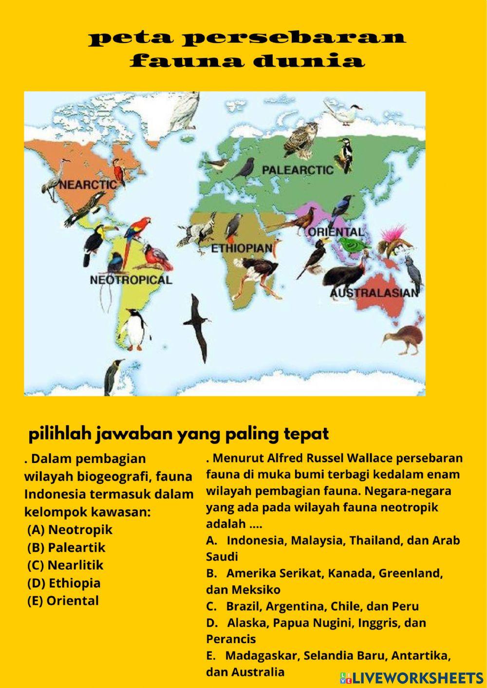 Fauna | Live Worksheets