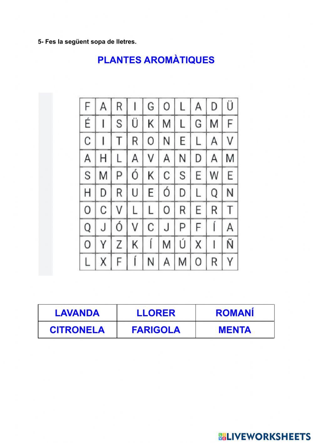 VOCABULARI: PLA… | Free Interactive Worksheets | 5359064