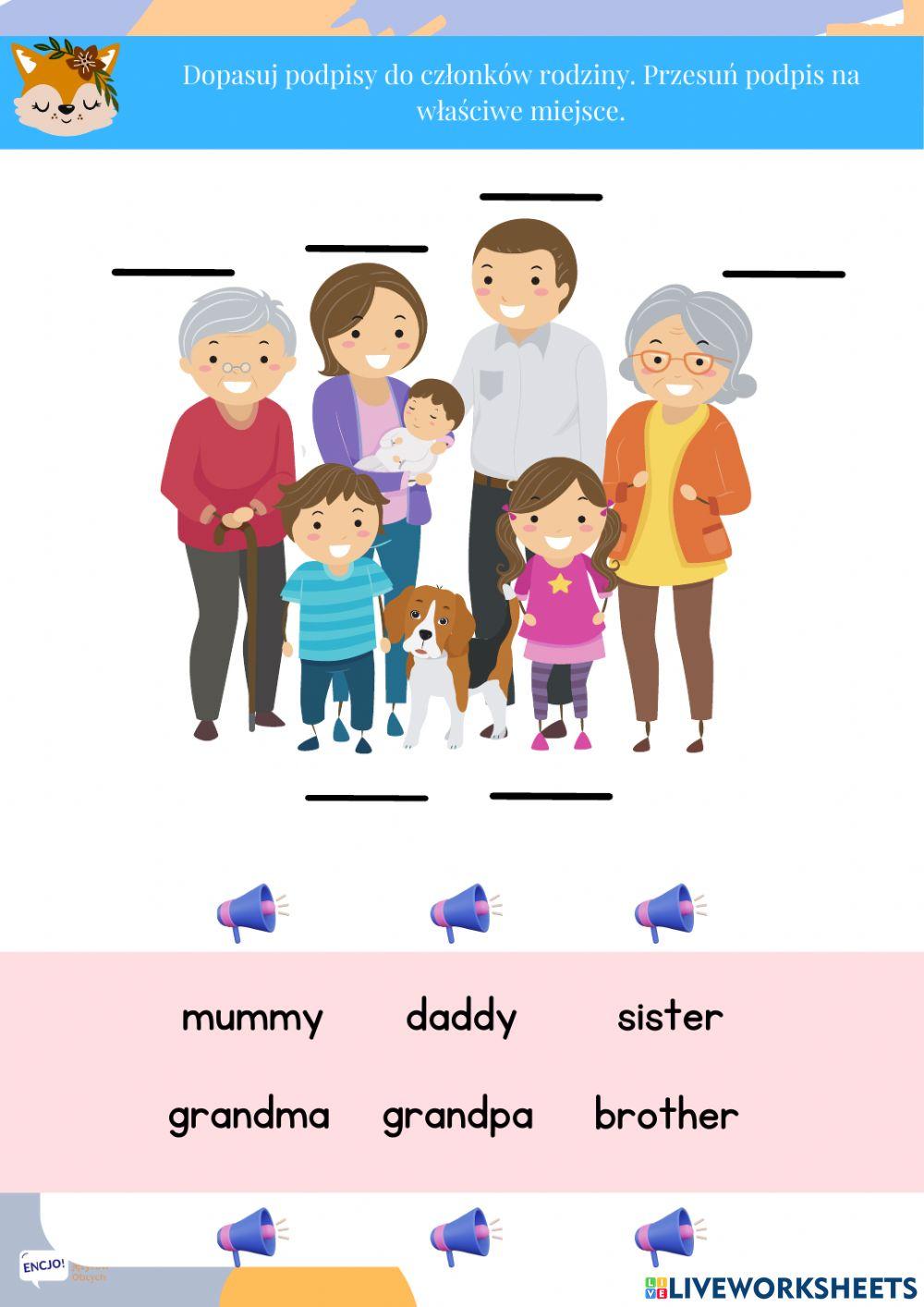 Family i wonder starter exercise | Live Worksheets