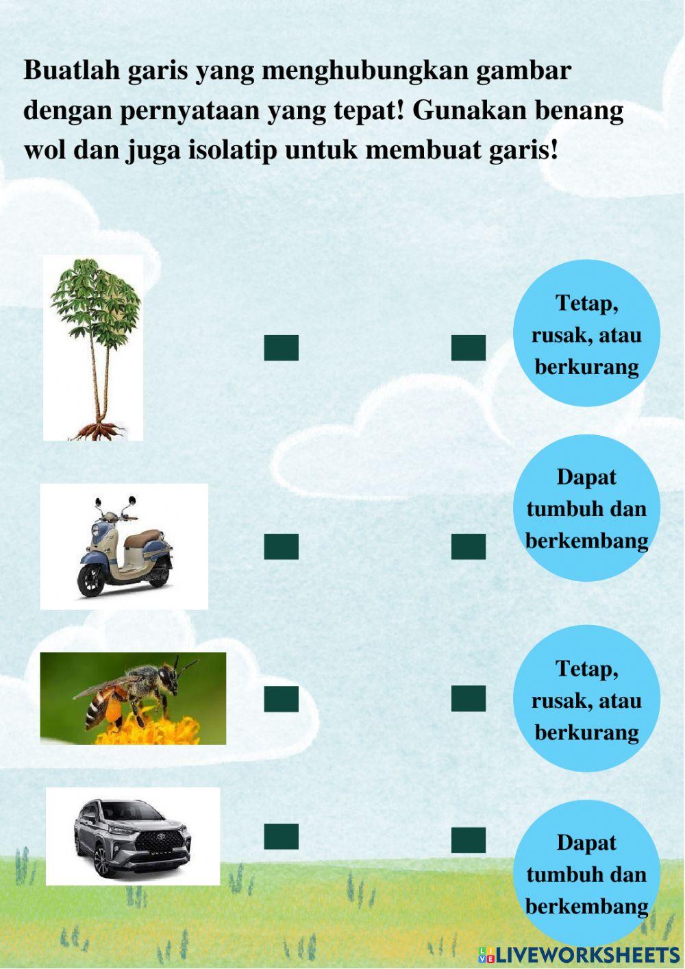 Menghubungkan Gambar dengan Pernyataan yang Tepat worksheet | Live ...