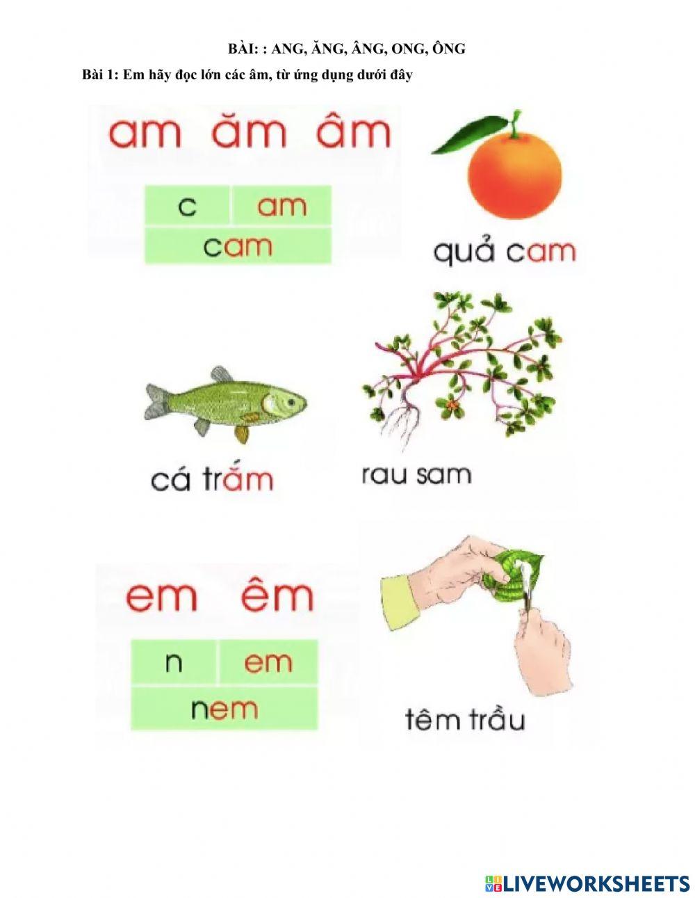 Vietnamese free activity | Live Worksheets