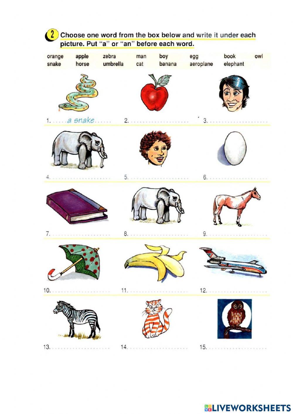 6910589 | 1. A - An | Svitlana Lysenko | LiveWorksheets