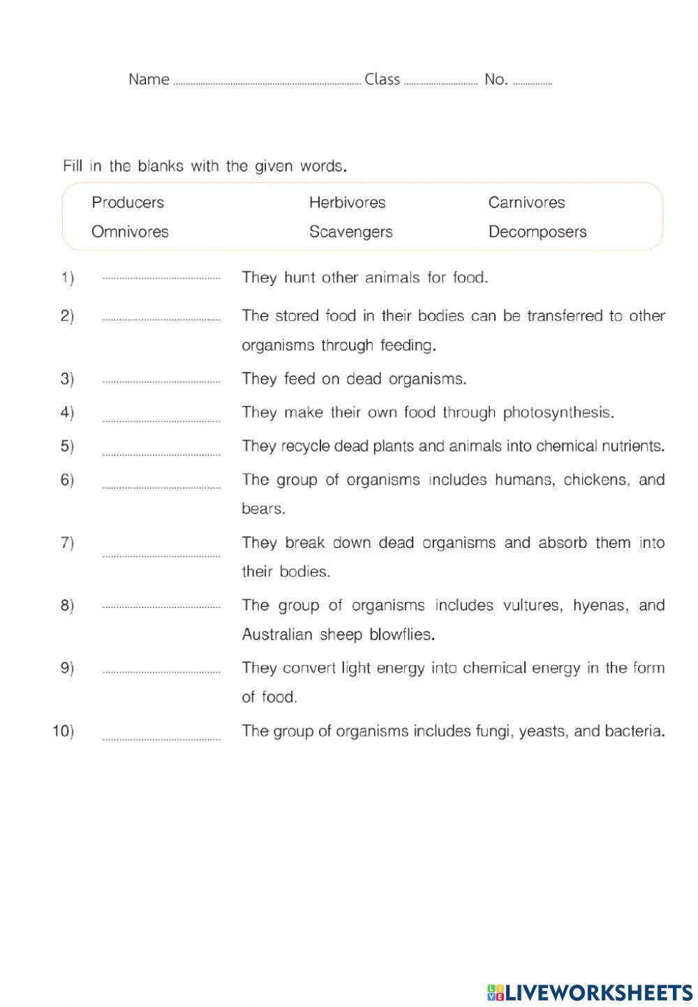 test m3 term 1 | Free Interactive Worksheets | 3637239