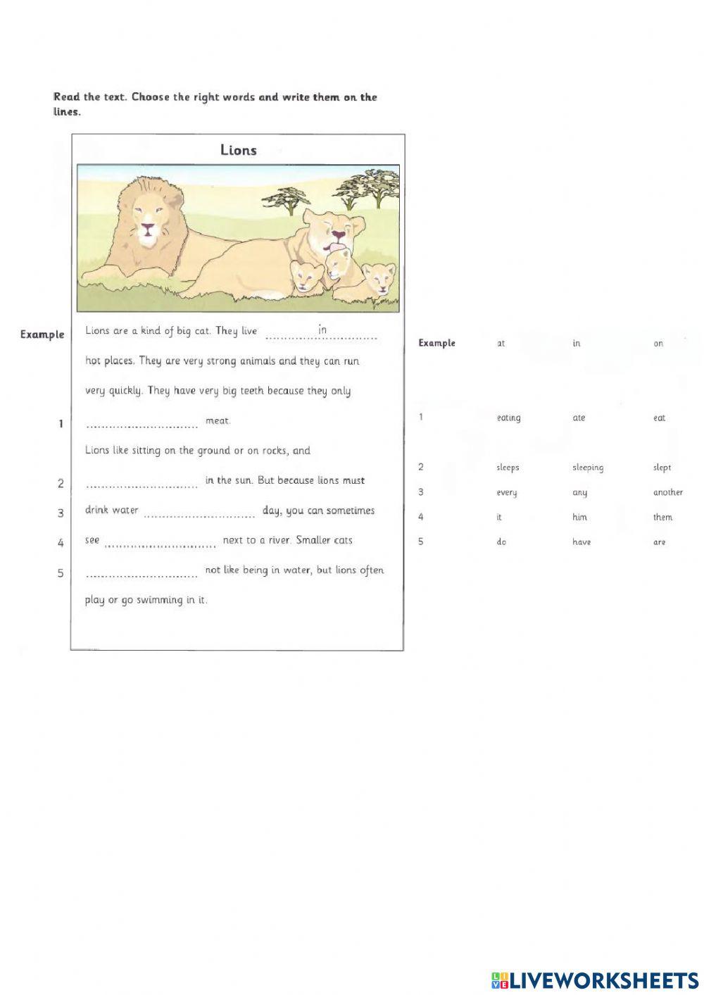 MT Test 3 Part 3 worksheet | Live Worksheets