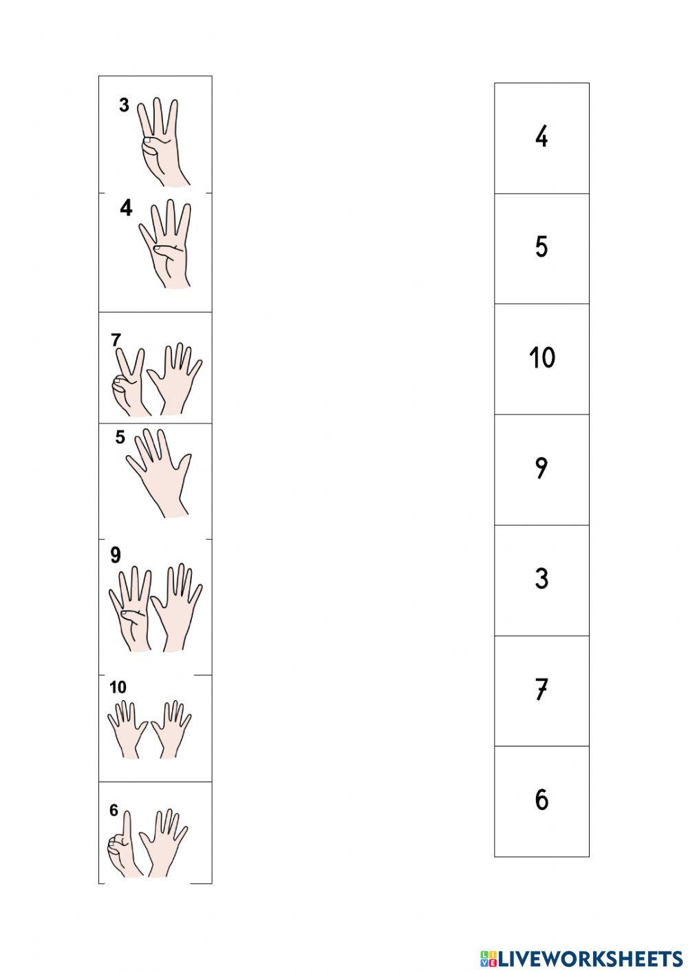 Los números y las manos 2167030 | Sofia López Catalina
