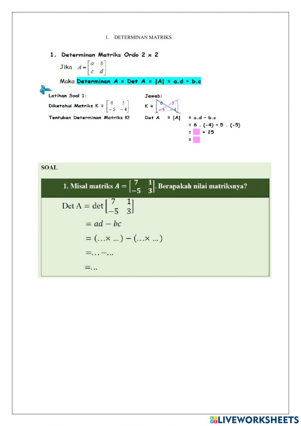 Determinan Matriks 2167050 | Wina Nurmala