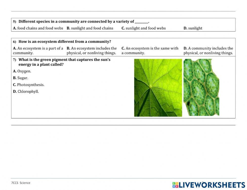 7CCS-SCIENCE 1st MIDTERM worksheet | Live Worksheets