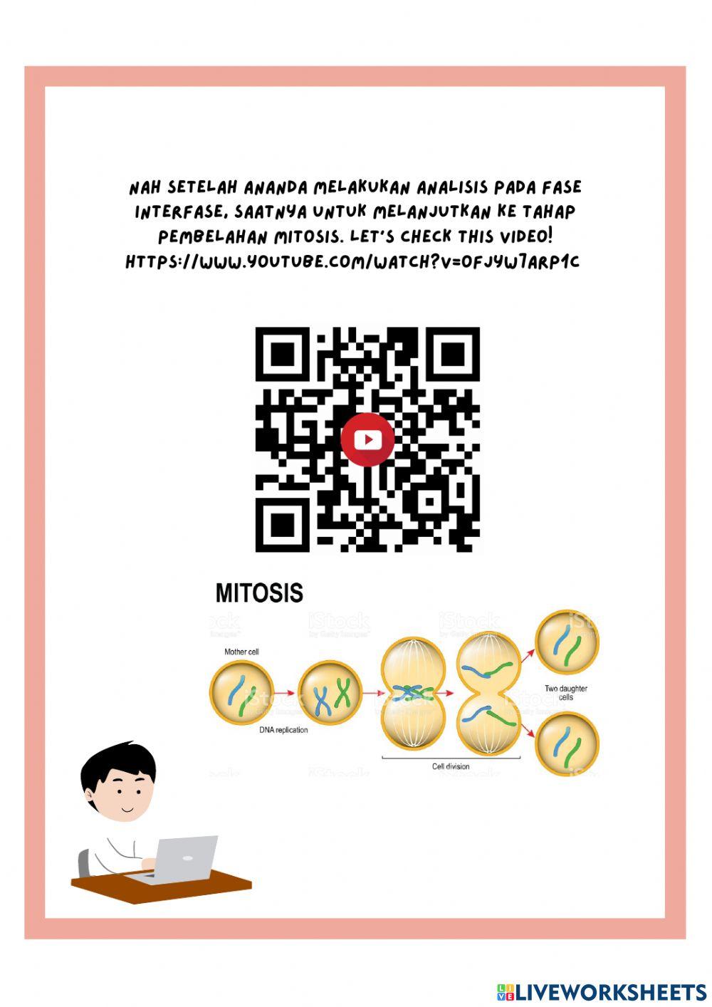 Pembelahan Mitosis activity | Live Worksheets