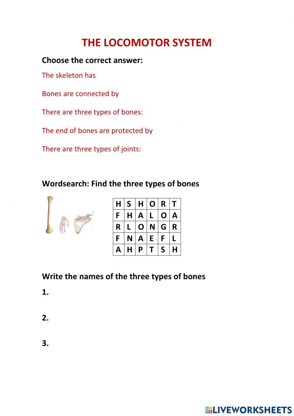 The locomotor system 2168692 | LMSuarez | Live