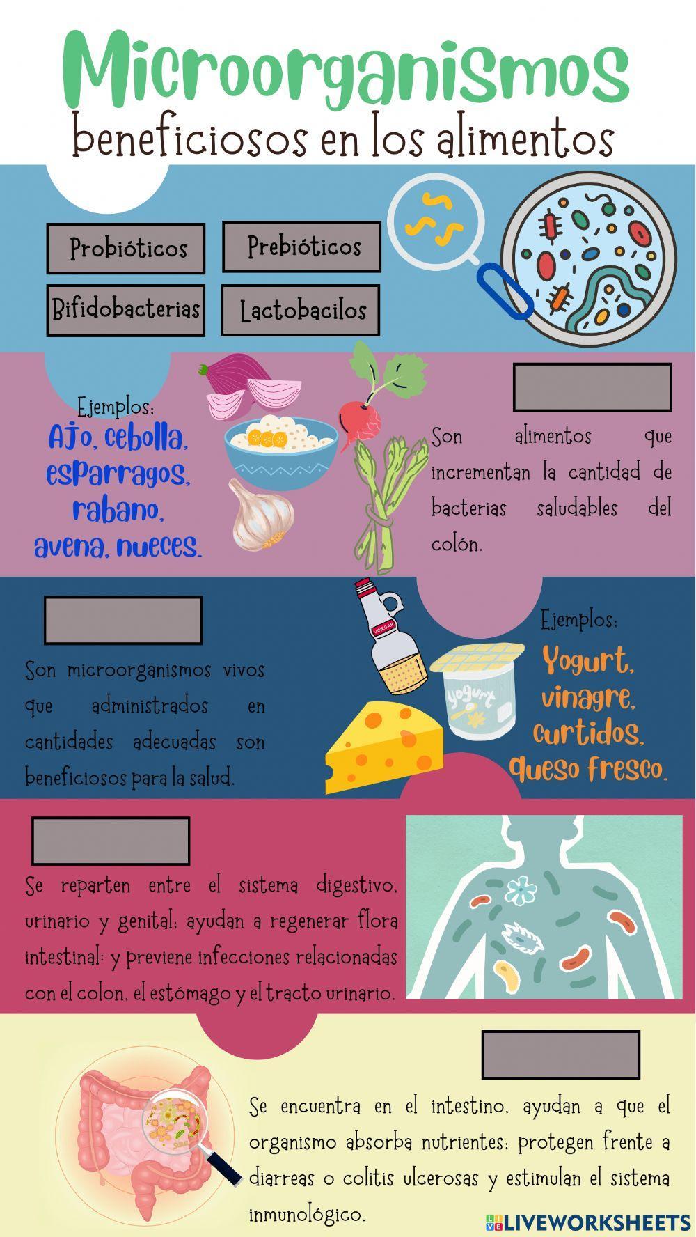Beneficios De Los Microorganismos Para La Humanidad Estos Be