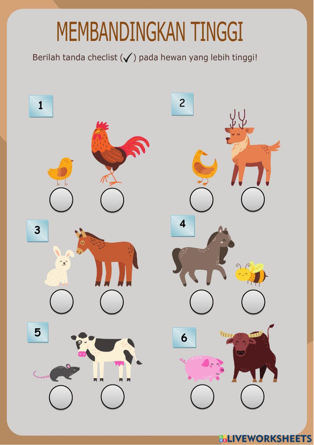 Membandingkan Ukuran worksheet | Live Worksheets