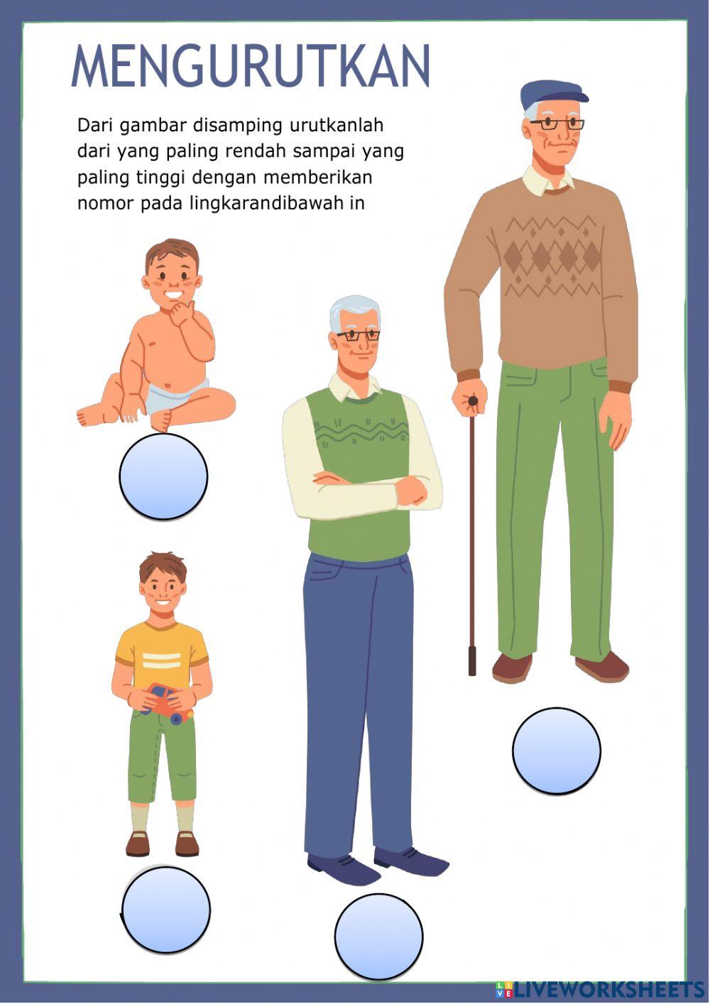 Membandingkan Ukuran worksheet | Live Worksheets