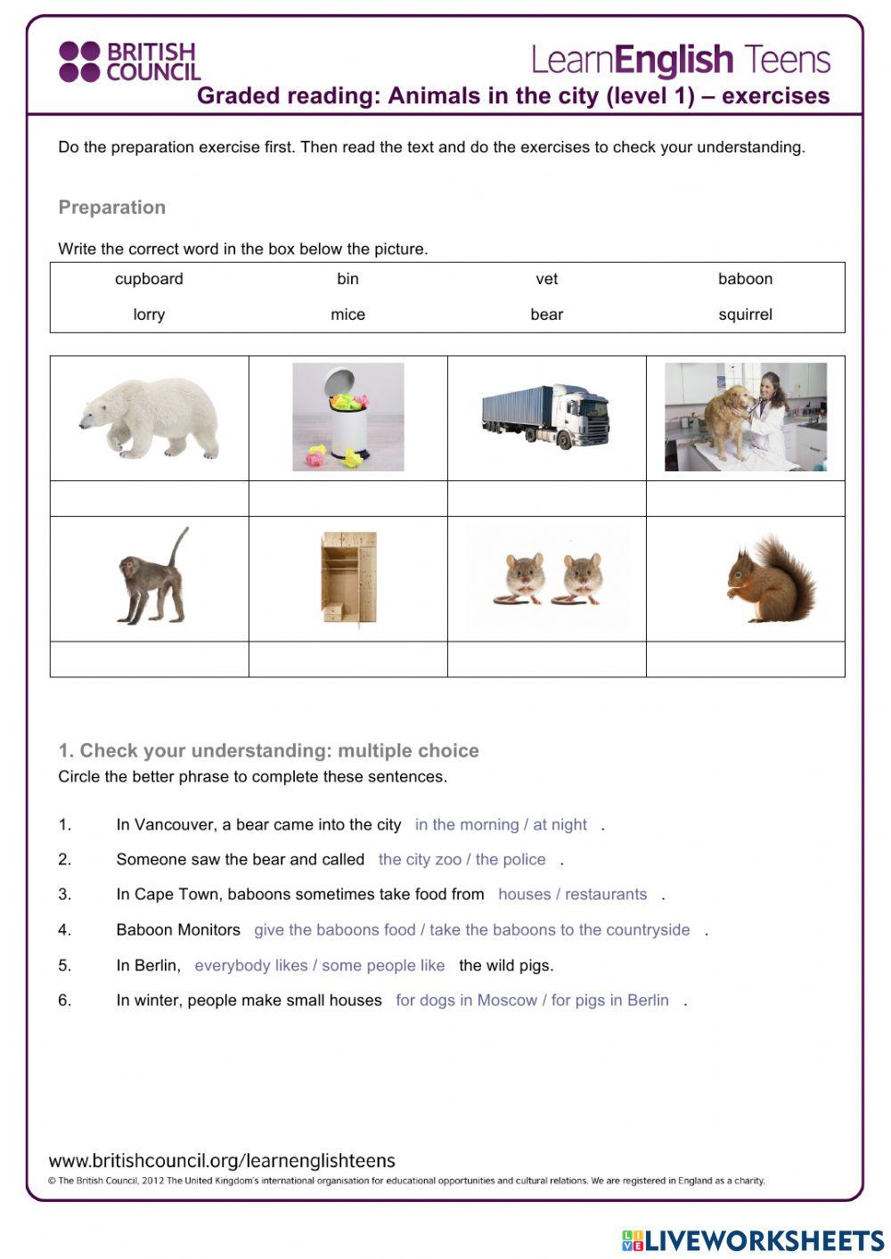 2451442 | Animals in the City | MitaRoca99