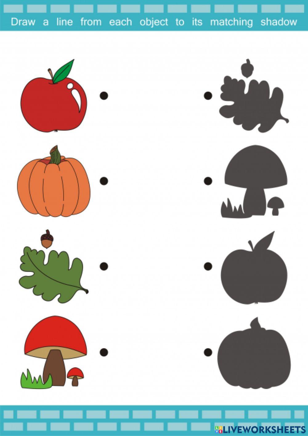 match picture with shadow online exercise for | Live Worksheets
