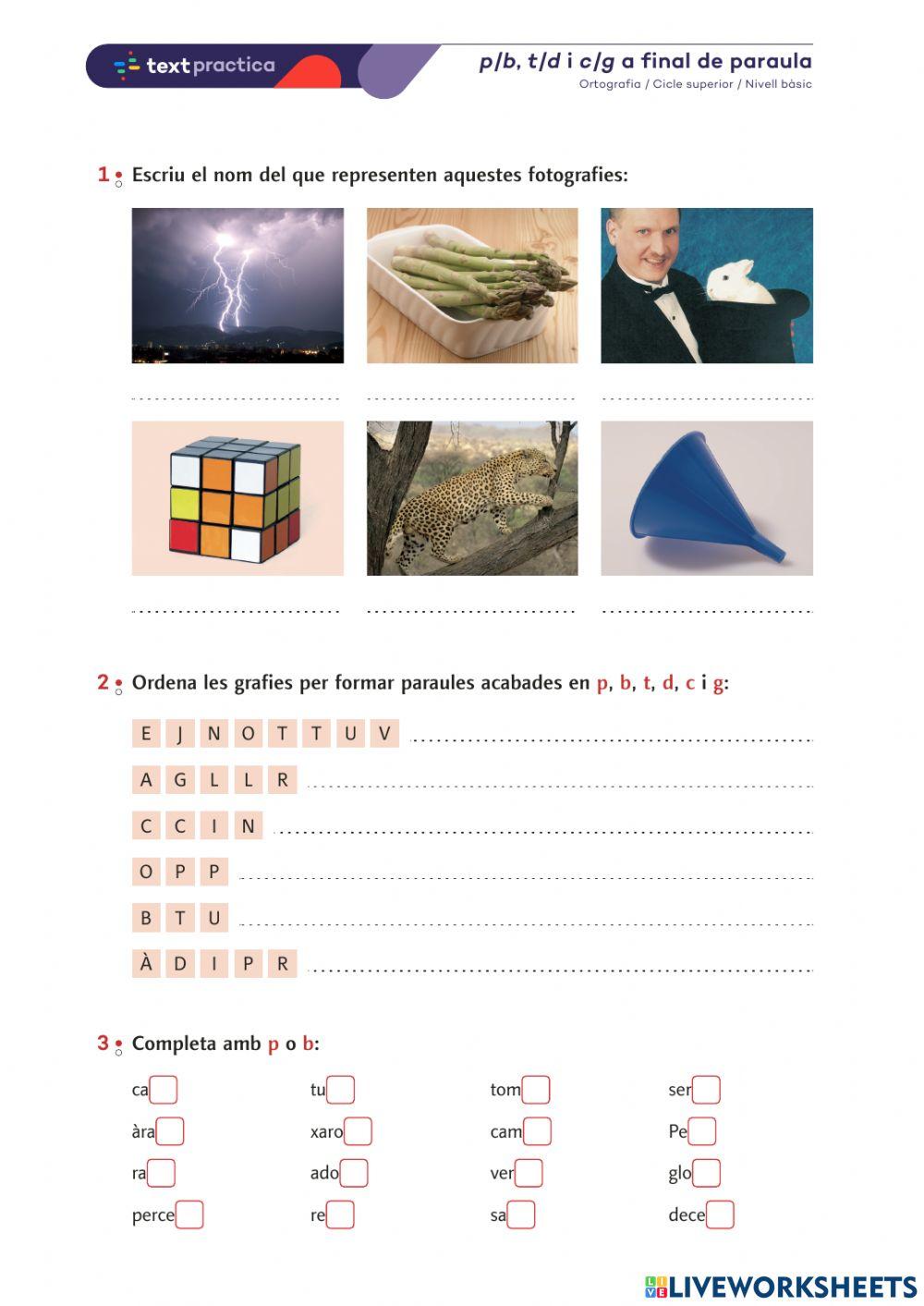 Ortografia | Free Interactive Worksheets | 2170308