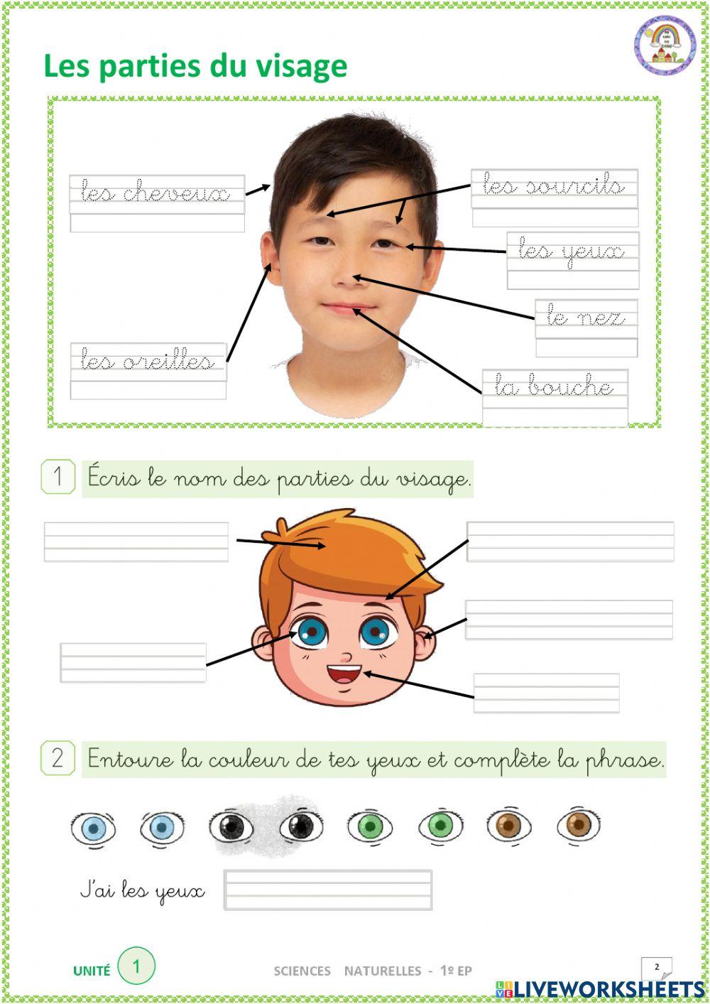 Les parties du visage 2170309 | MARTA RODRÍGUEZ TORRES