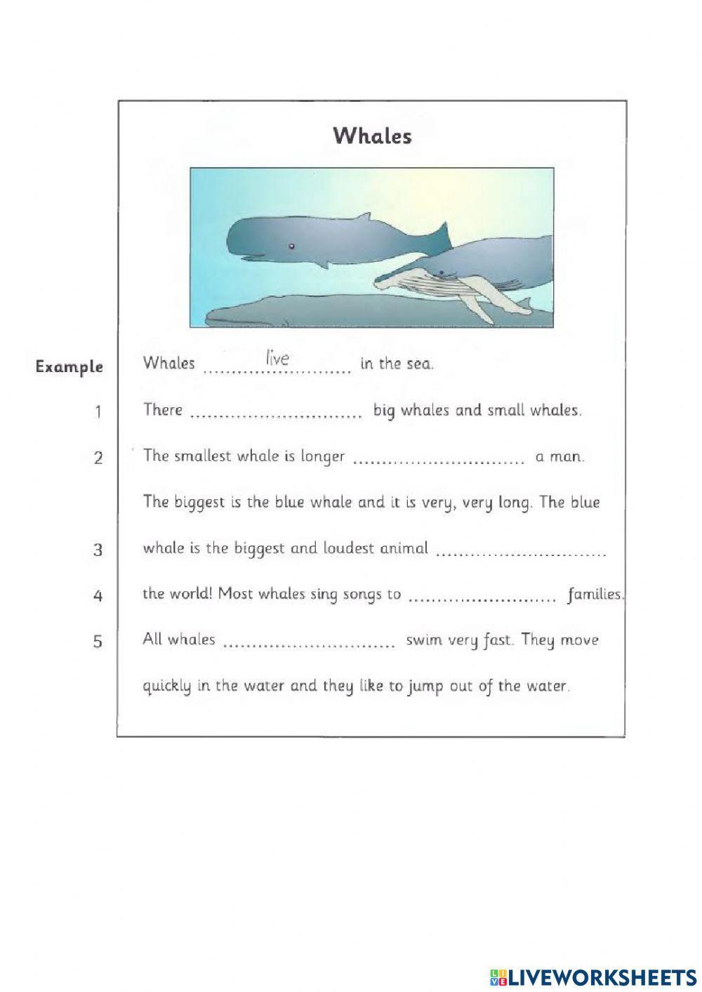 MT Test 3 Part 4 worksheet | Live Worksheets