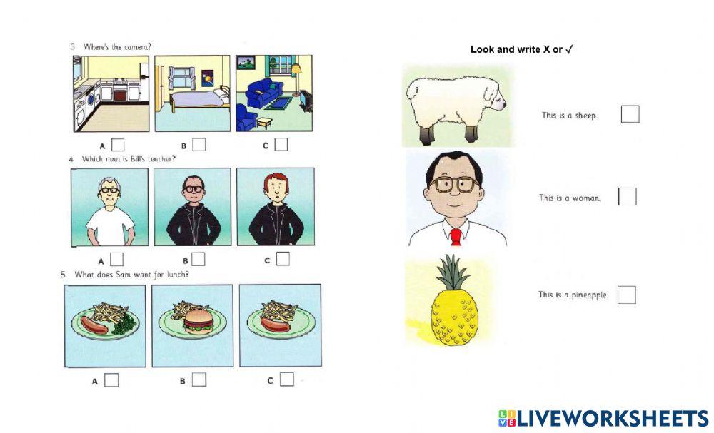 English Fourth Exam worksheet | Live Worksheets