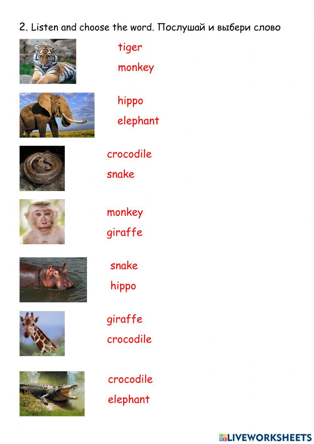 Wild Animals 1008 | Mariya | Live Worksheets