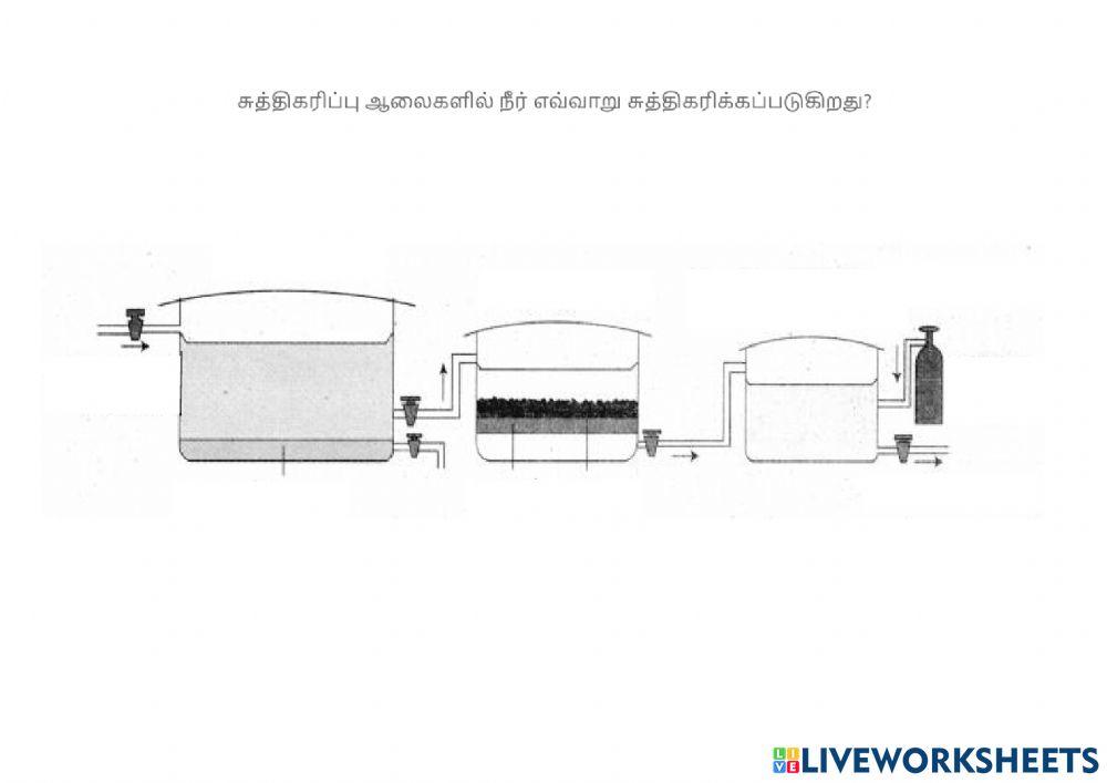 Science online exercise for 8 | Live Worksheets