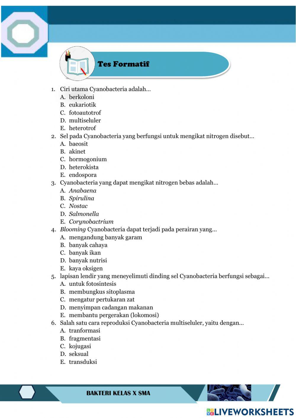 Tes formatif-3 worksheet | Live Worksheets