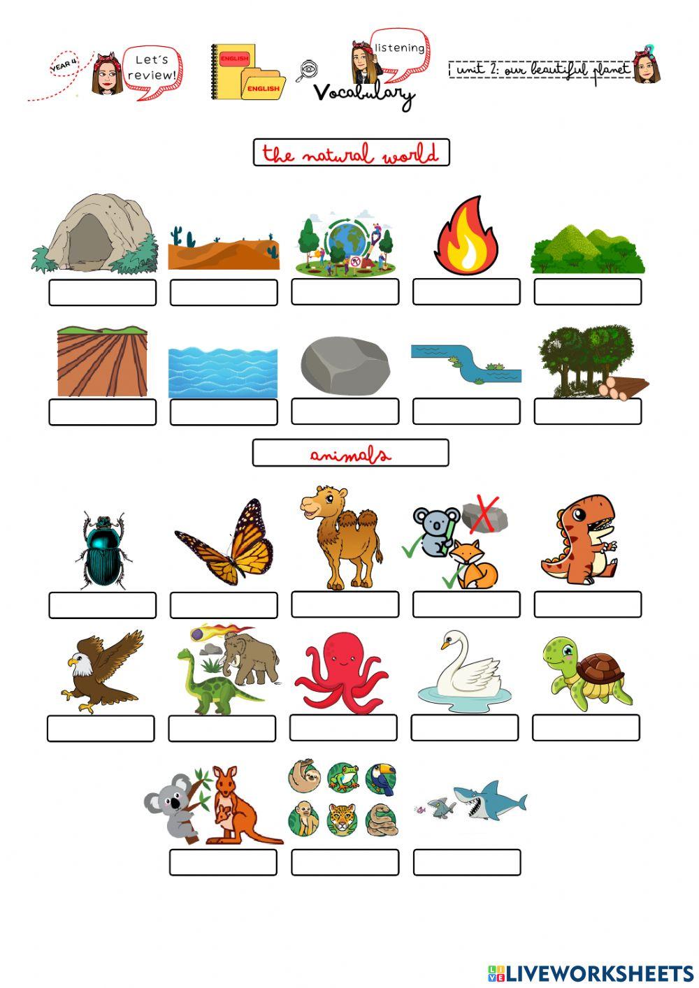 Unit 2:Our beau… | Free Interactive Worksheets | 2209478