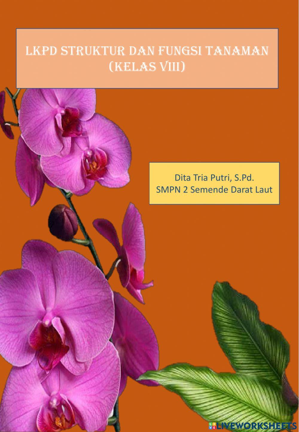 Lkpd struktur dan fungsi tanaman 2211119 | Dita Tria