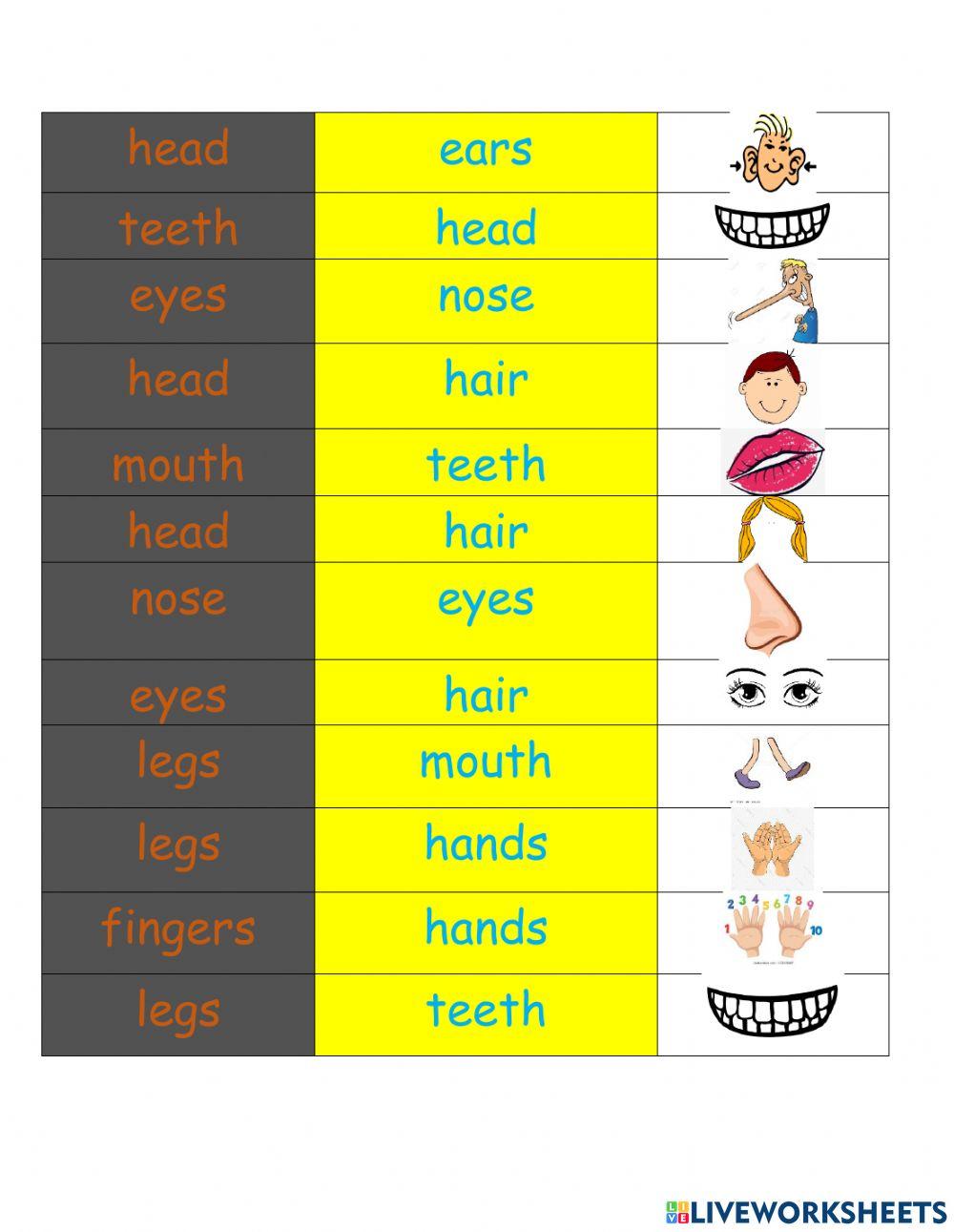 Body part I've got worksheet | Live Worksheets