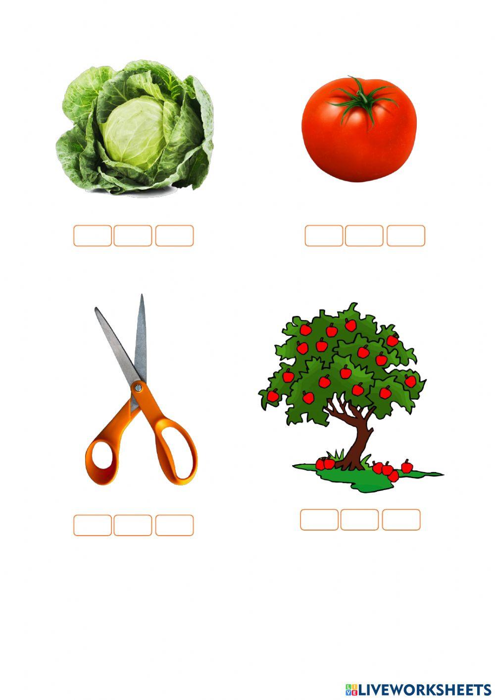 Sunetul r | Live Worksheets