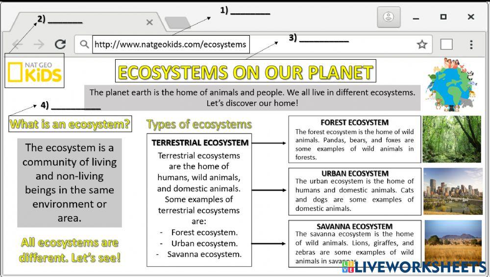Paratextual ele… | Free Interactive Worksheets | 2212317