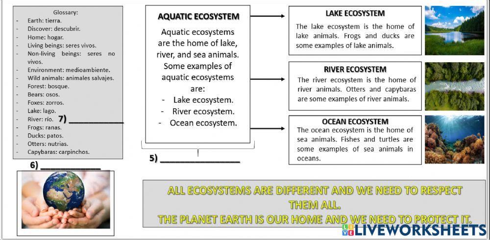 Paratextual elements 2 worksheet | Live Worksheets