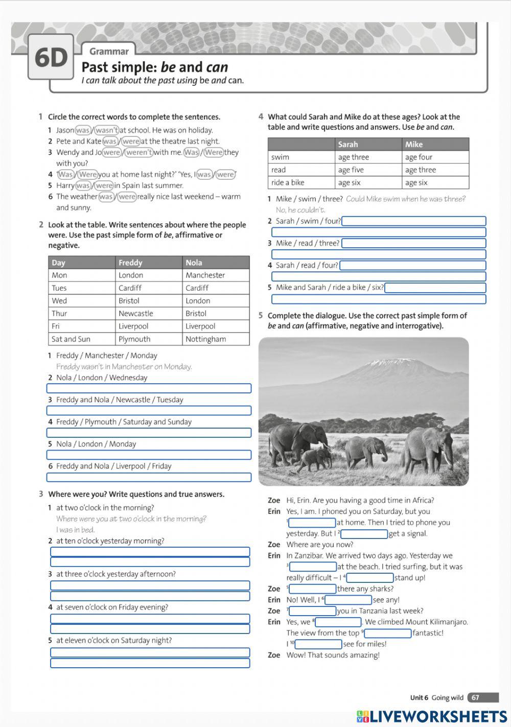 Sol-1-wb-u06D-past simple be-can worksheet | Live Worksheets