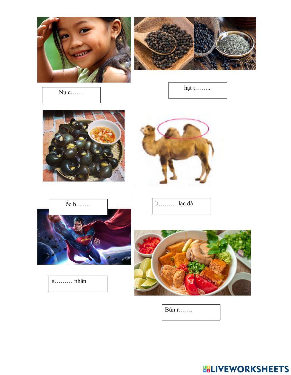 Vietnamese exercise for 1 | Live Worksheets