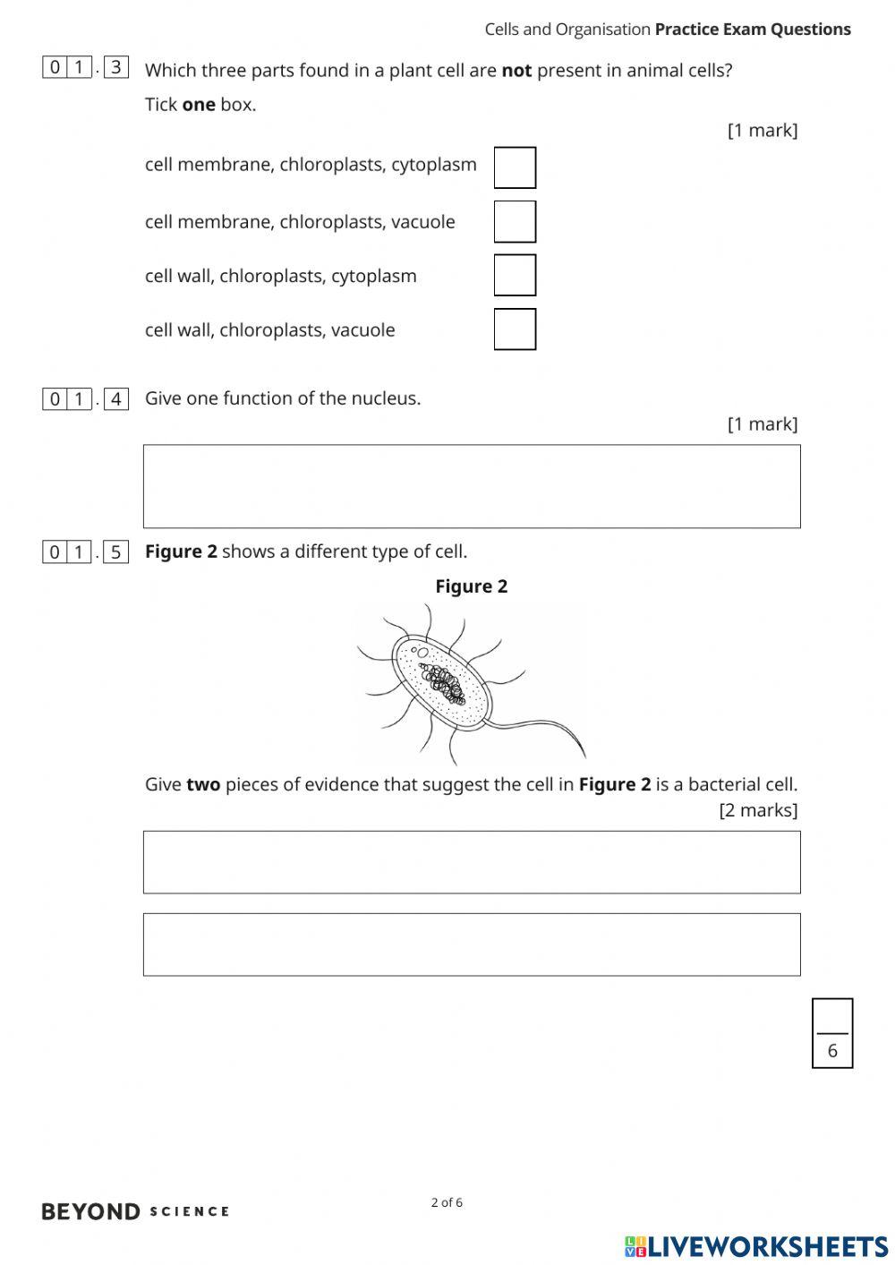 Cells | Free Interactive Worksheets | 2212796