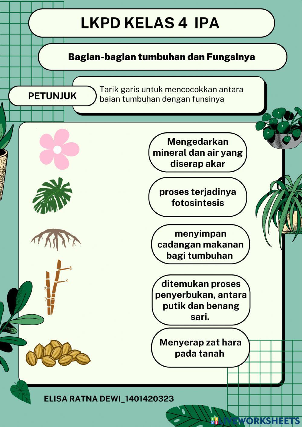 Lkpd Ipas Kurikulum Merdeka Kelas Iv Bab 6 Indonesiak - vrogue.co