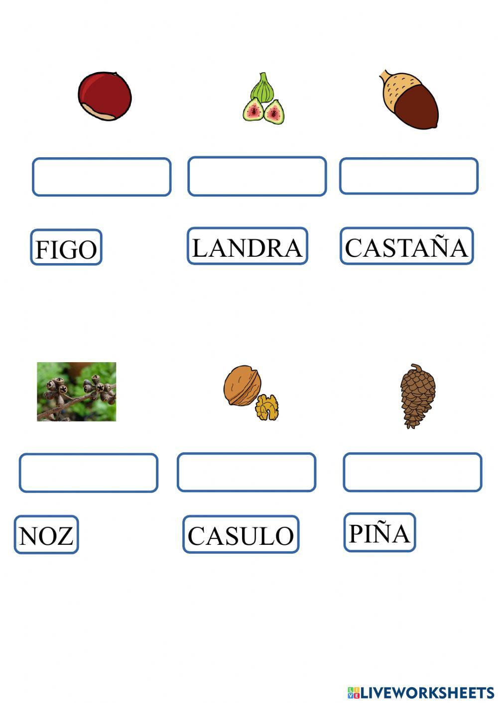ARRASTRA online exercise for | Live Worksheets