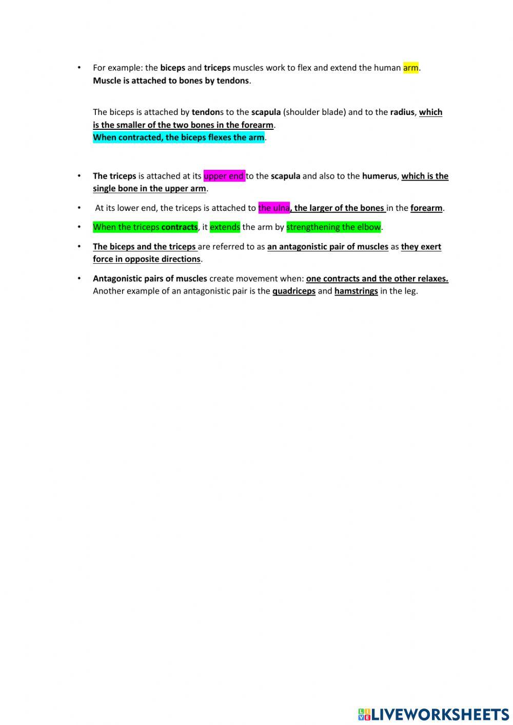 Arm movement worksheet | Live Worksheets