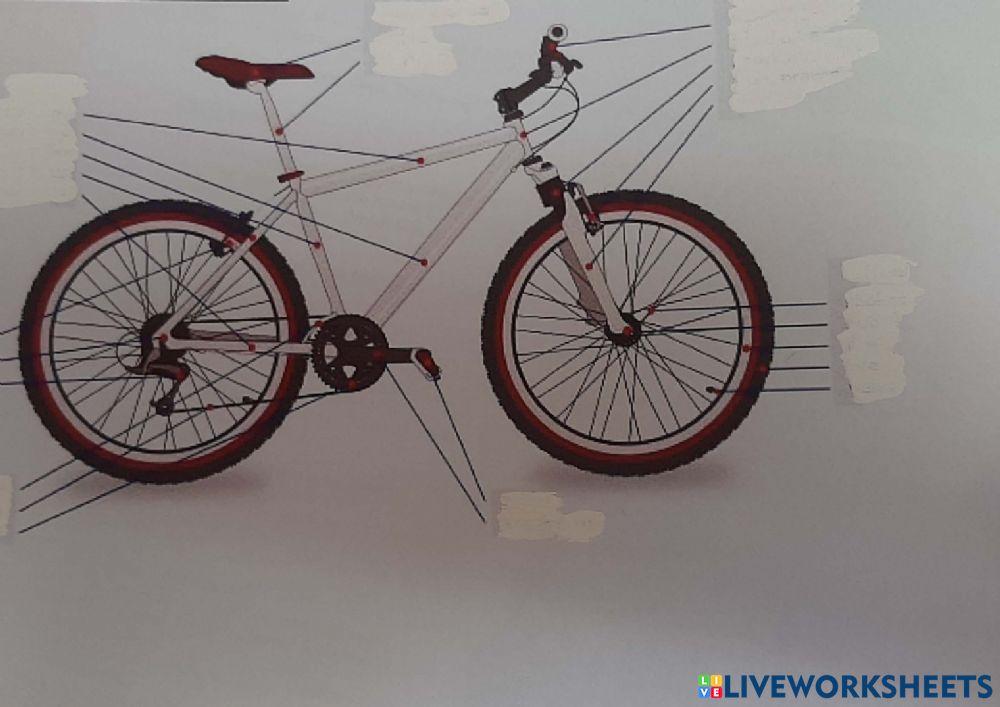 Cycling online worksheet | Live Worksheets