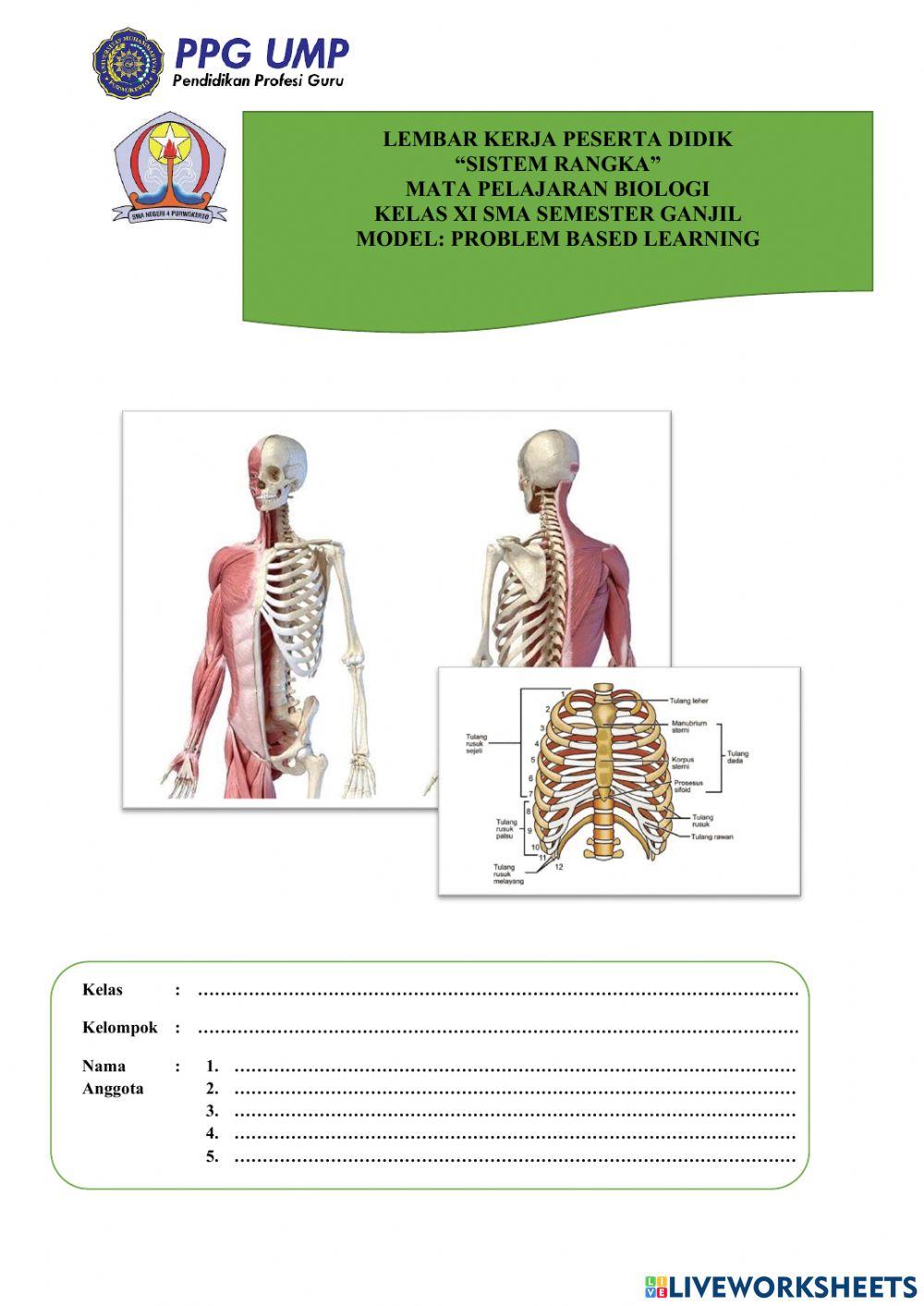 Sistem rangka online activity for GRDAE 2 | Live Worksheets