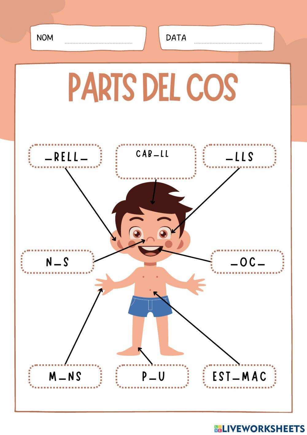 Parts del cos free exercise | Live Worksheets