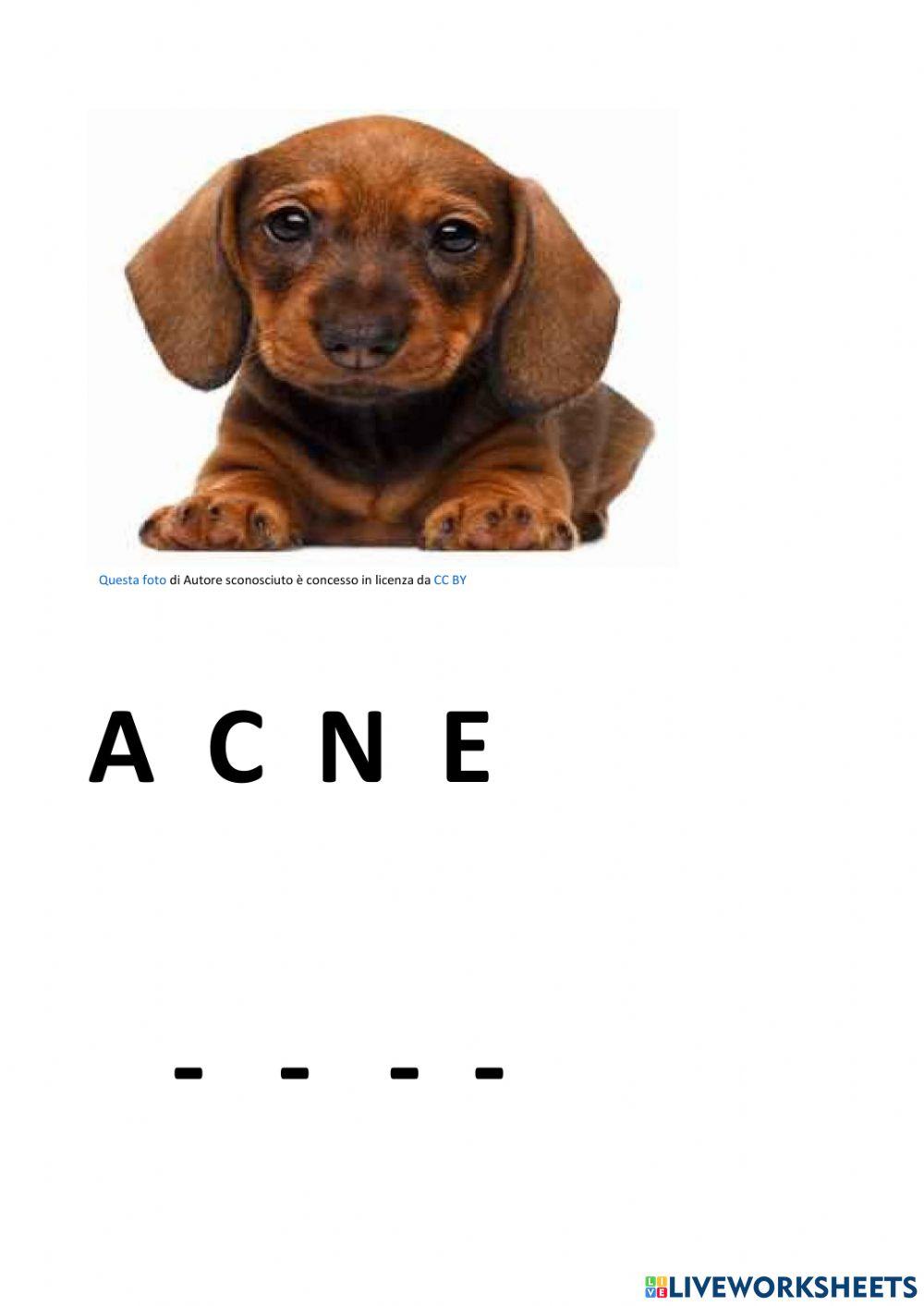 cane online exercise for | Live Worksheets