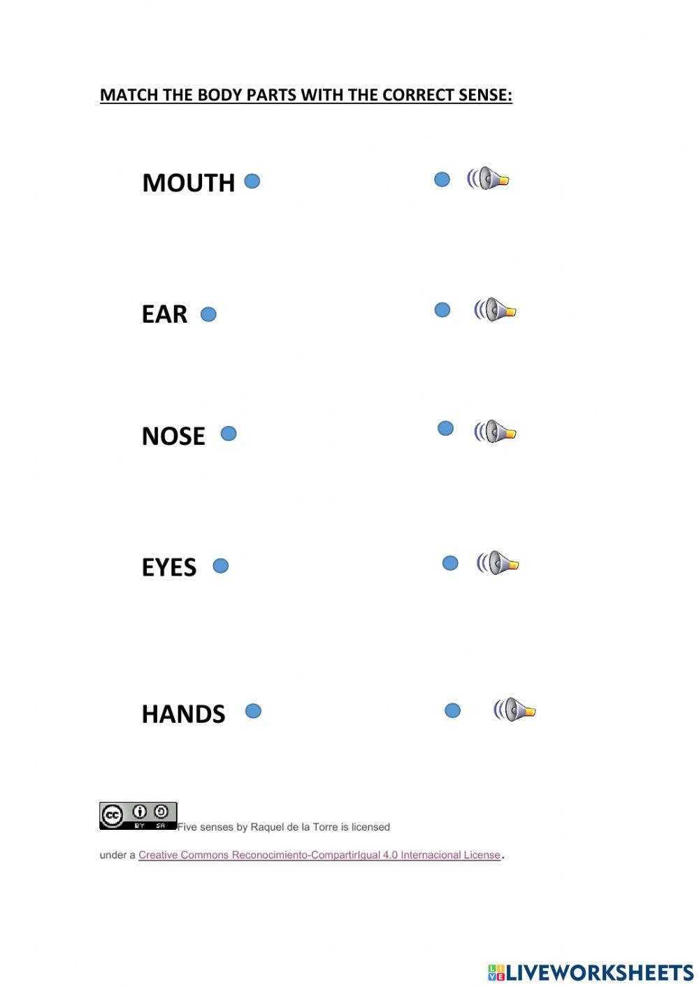 Five senses online exercise for 2º | Live Worksheets