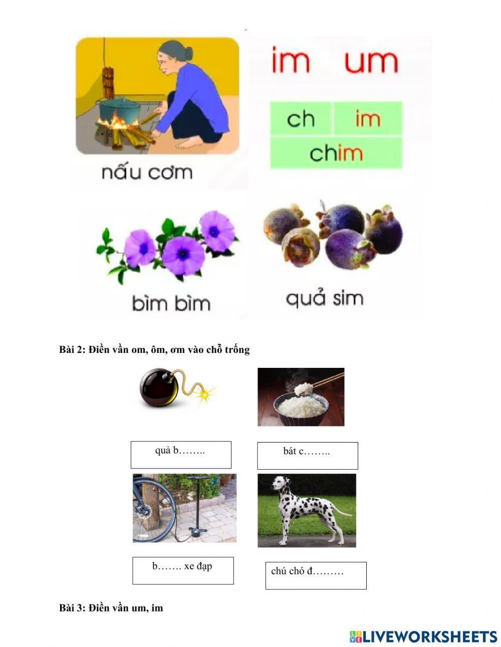 Vietnamese free online exercise | Live Worksheets