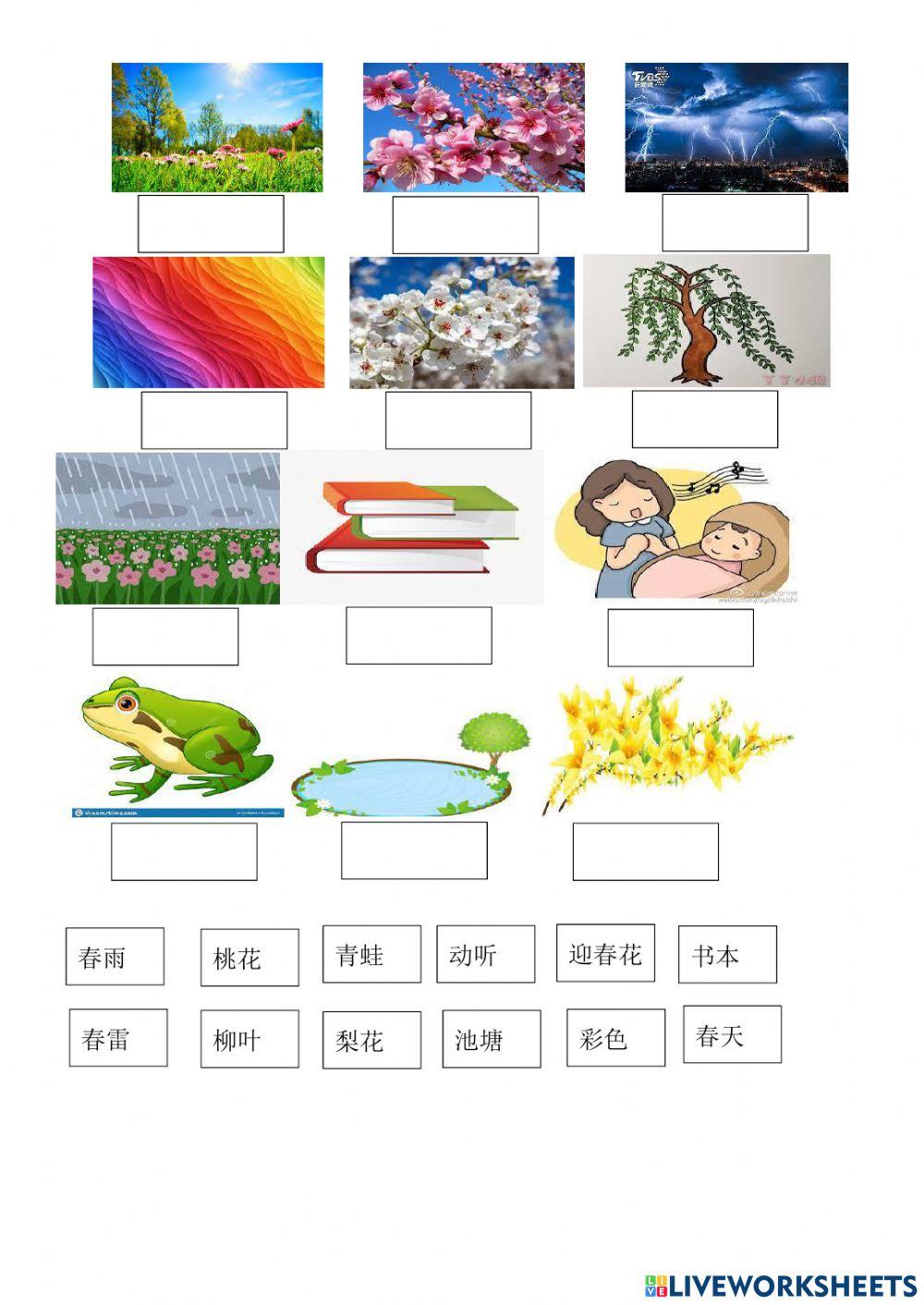 Chuntian worksheet | Live Worksheets