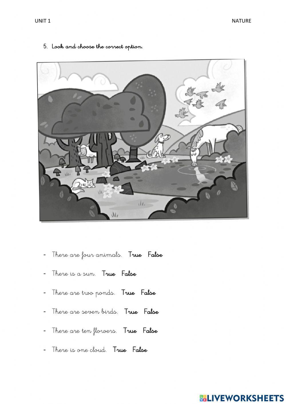 2198779 | Unit 1 nature | sarivama | LiveWorksheets