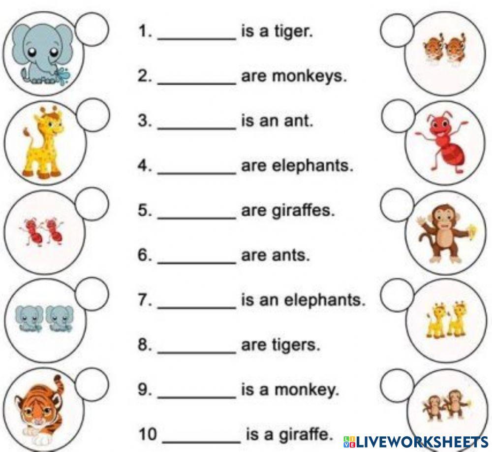 Animals online exercise for A1 | Live Worksheets