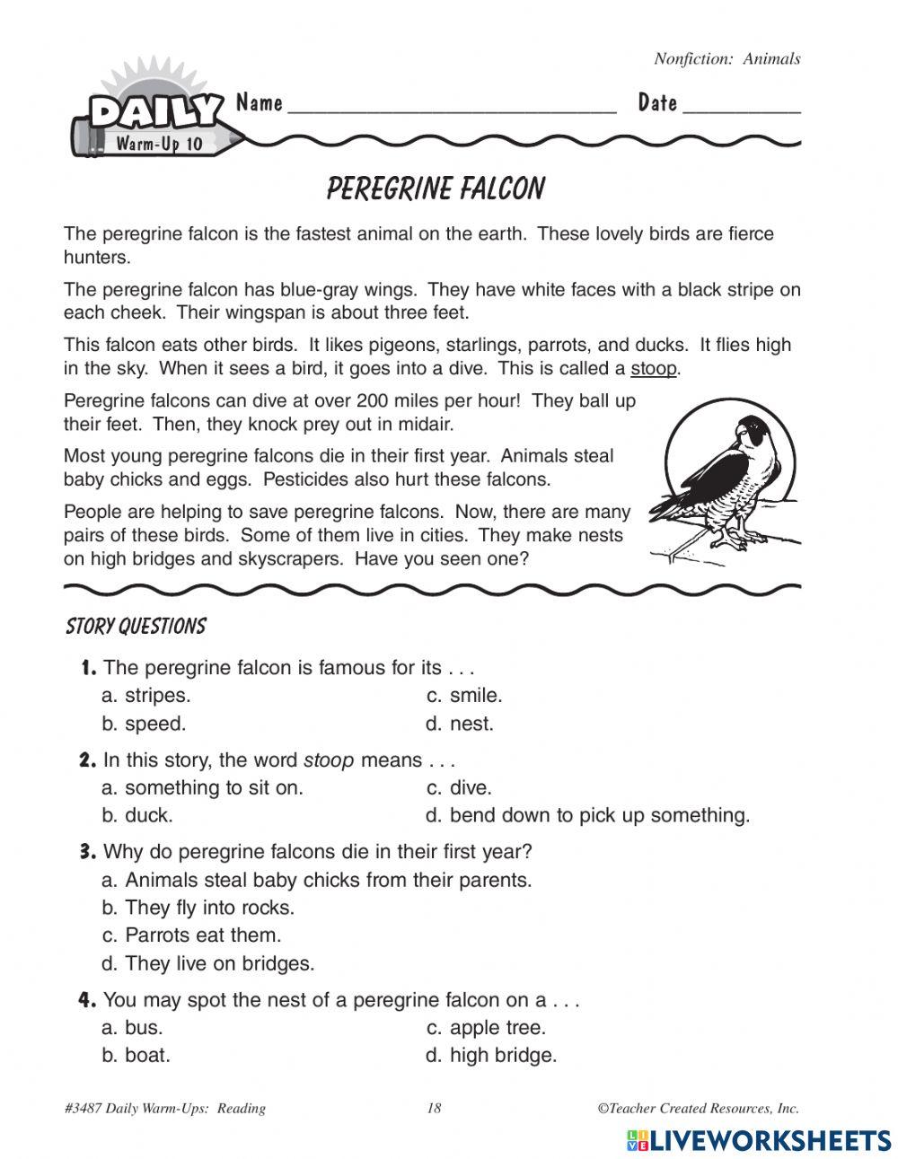 Falcon and anteater worksheet | Live Worksheets
