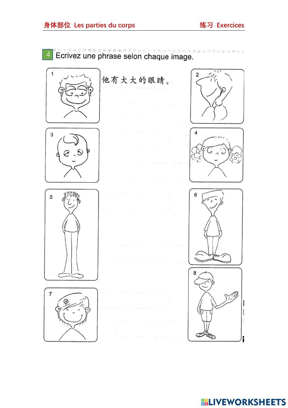 mon corps ex worksheet | Live Worksheets