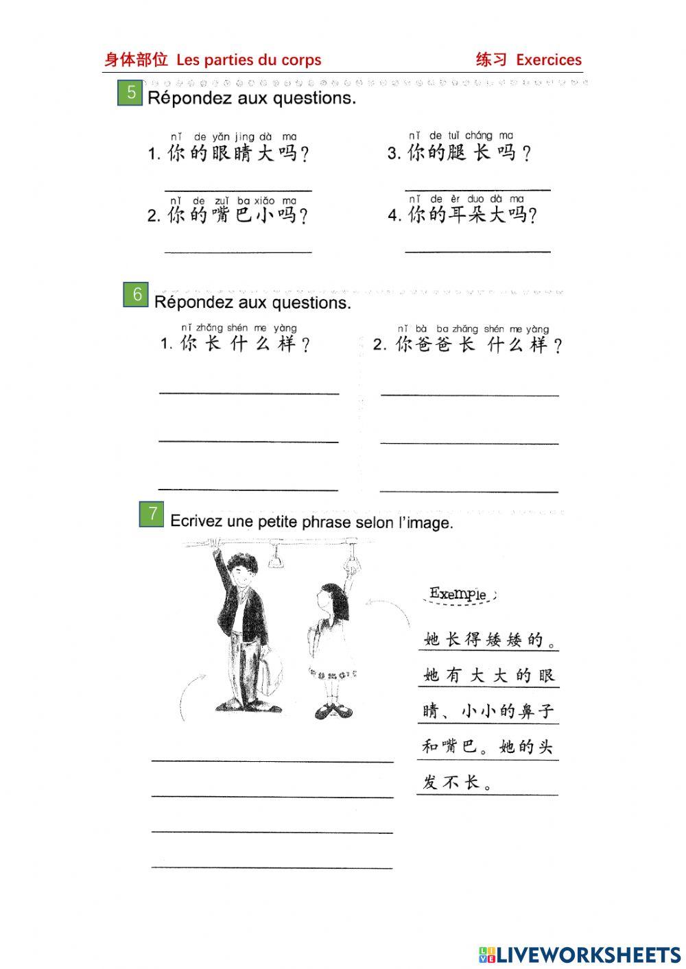 mon corps ex worksheet | Live Worksheets
